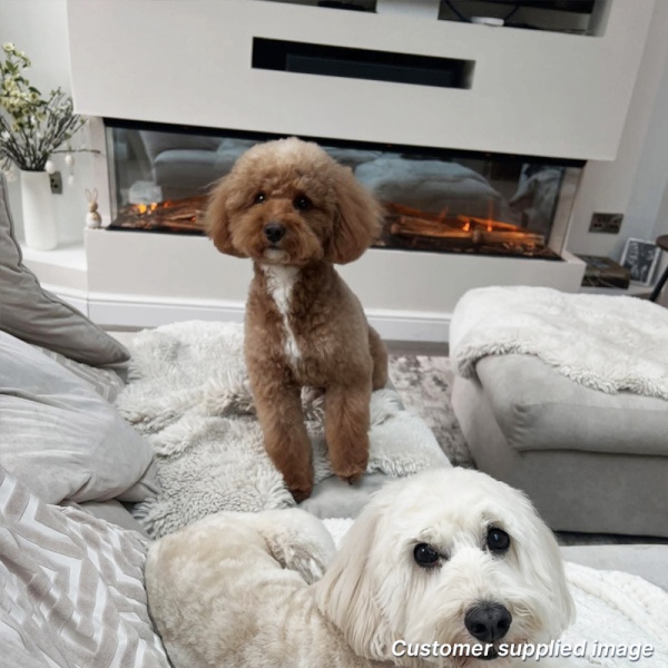 Wall Mounted Electric Fires - Page 3 | Flames.co.uk