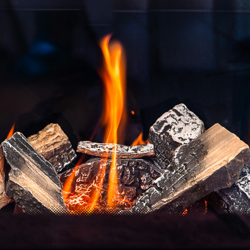 Paragon Core BF Balanced Flue Gas Fire | Flames.co.uk